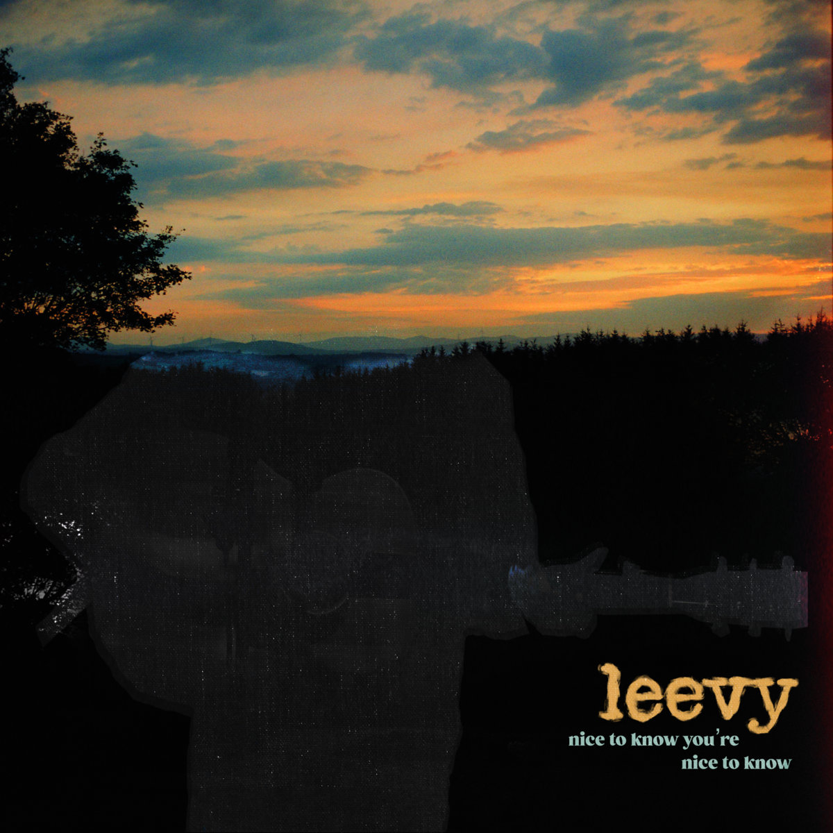 Nice to Know you're Nice to Know | Leevy