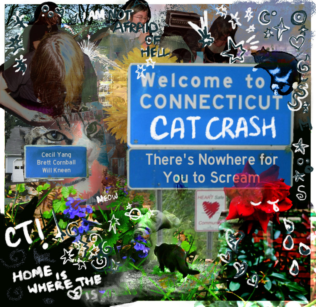 WELCOME TO CONNECTICUT | Cat Crash