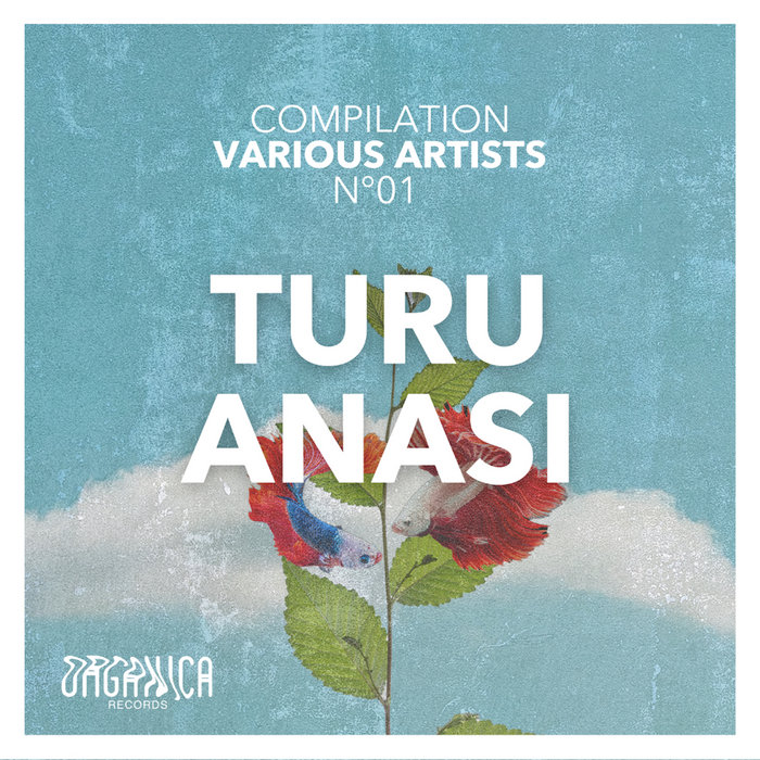 Turu Anasi - Romantico | Turu Anasi