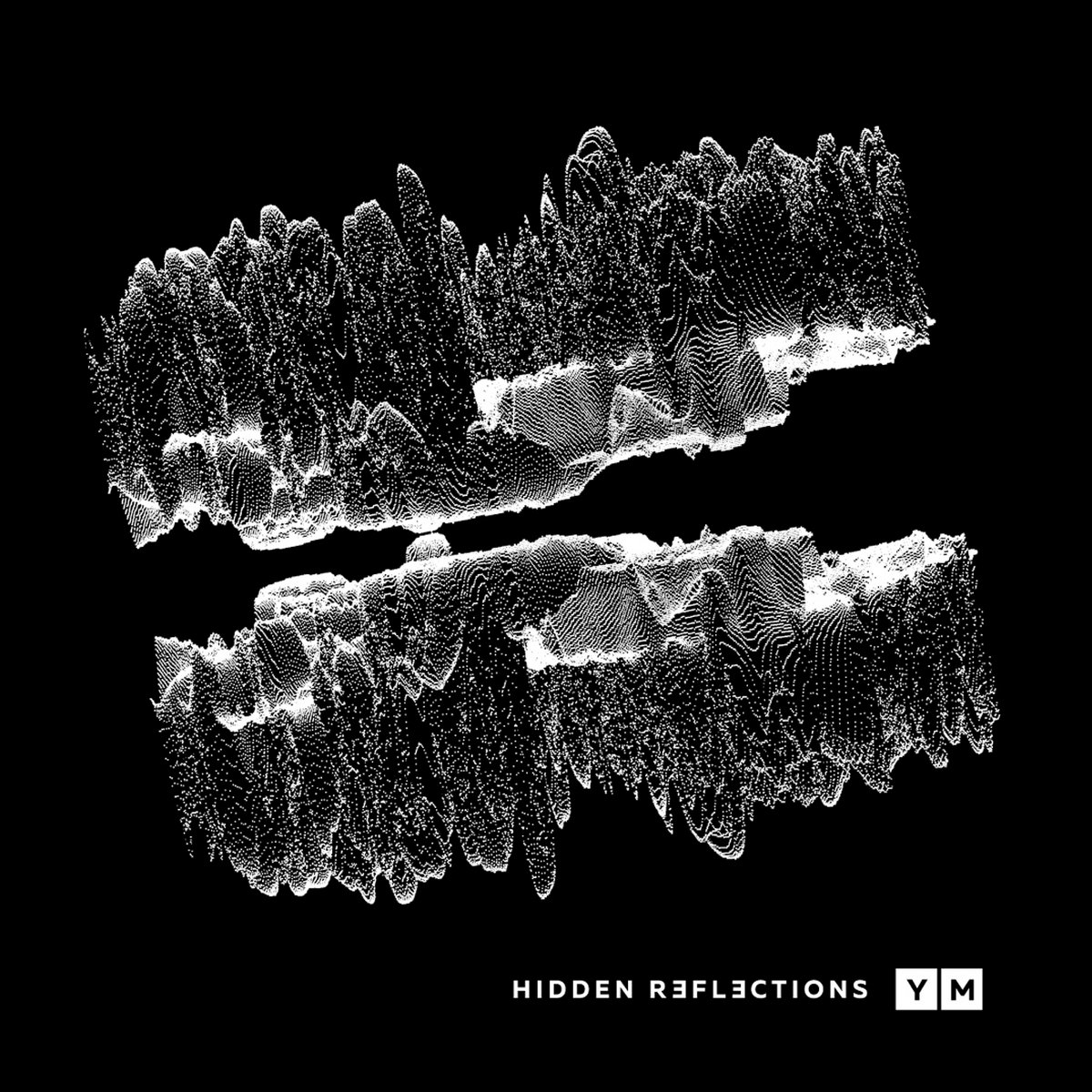 Hidden Reflections | Yarei Molina | brave coast