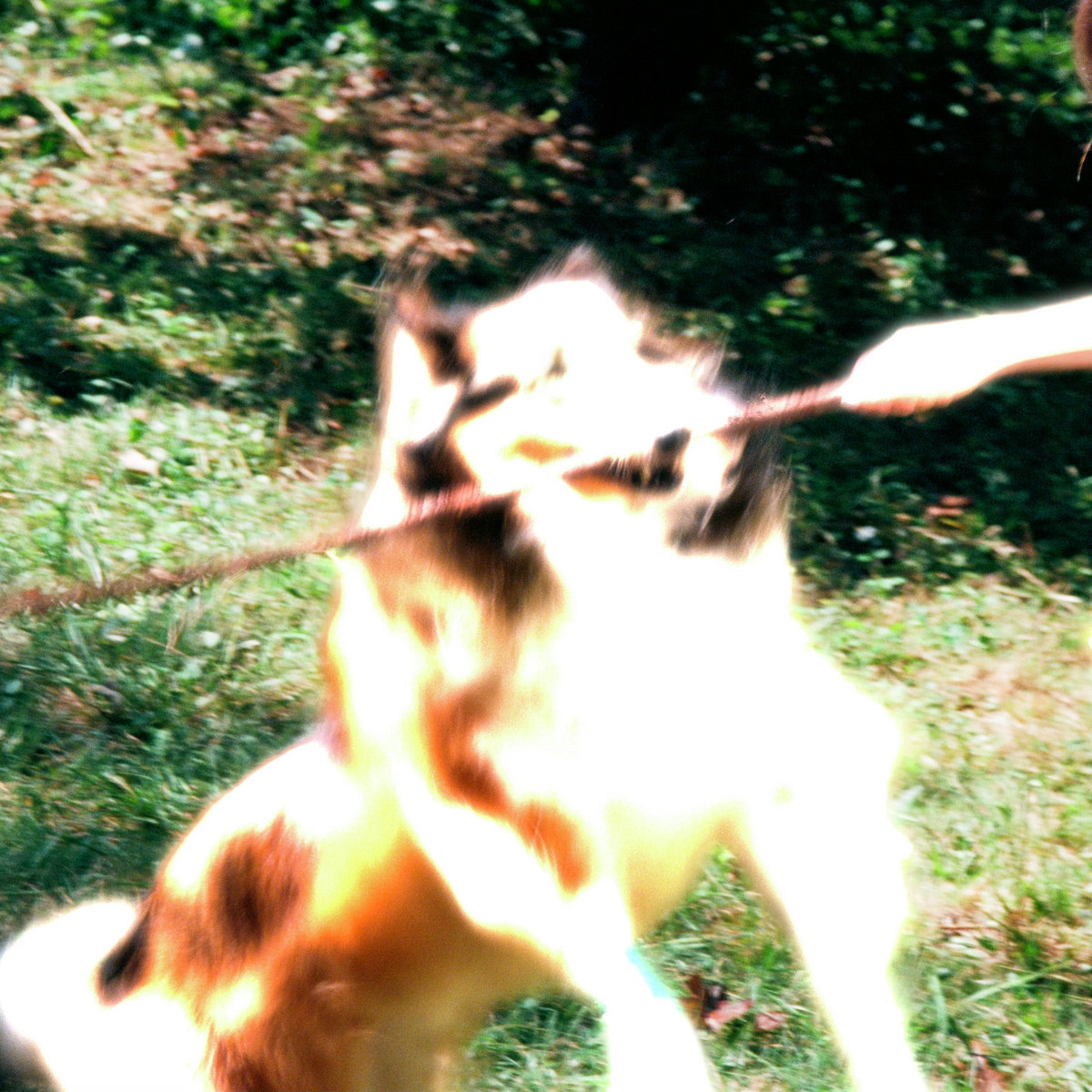 This House Has Legs | Dish | Candlepin Records