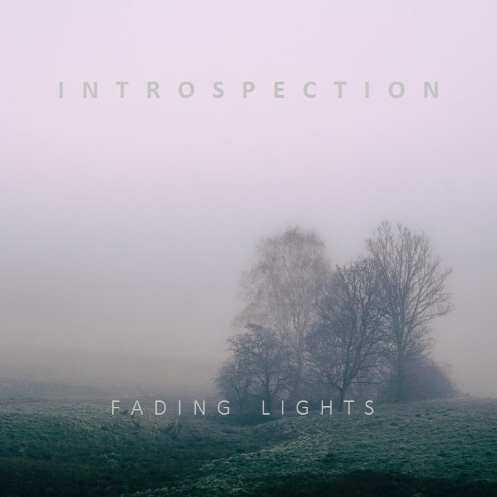 Fading Lights | Introspection