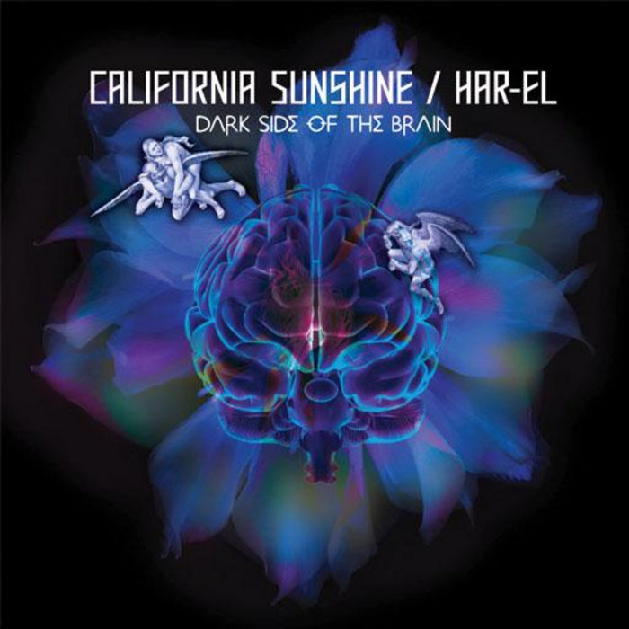 Dark Side Of The Brain | CALIFORNIA SUNSHINE / HAR-EL (Ultiva Records ...