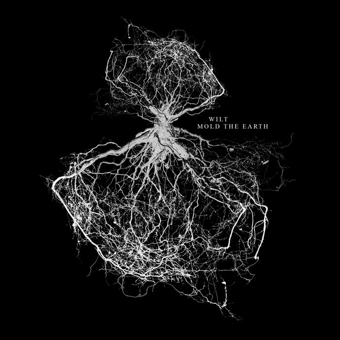 MOLD THE EARTH | WILT