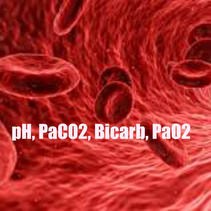 pH, PaCO2, Bicarb, PaO2 | RT Clan Global