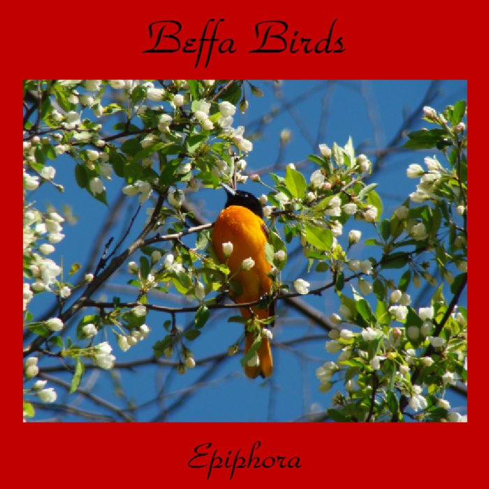Beffa Birds | Epiphora