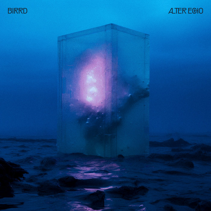 Alter Echo | Birrd