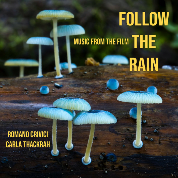 Music from the film Follow the Rain | Romano Crivici & Carla Thackrah ...