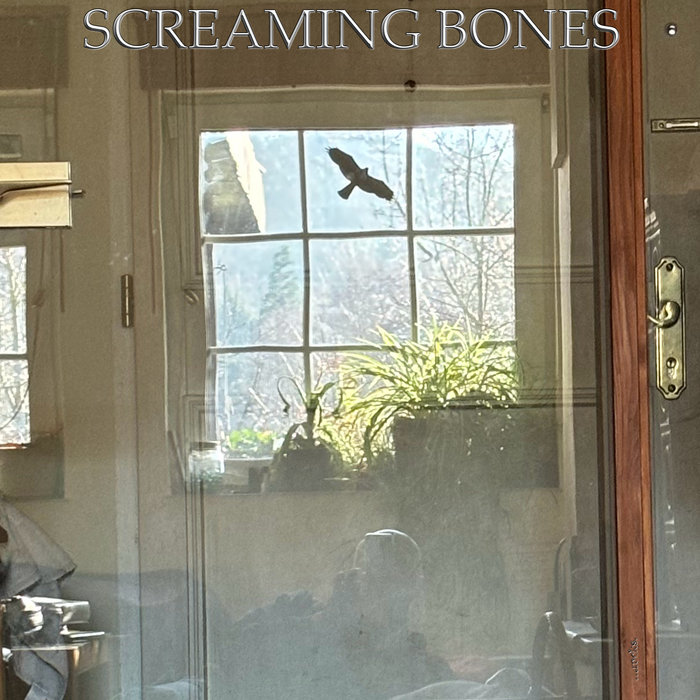 ...rocks | Screaming Bones