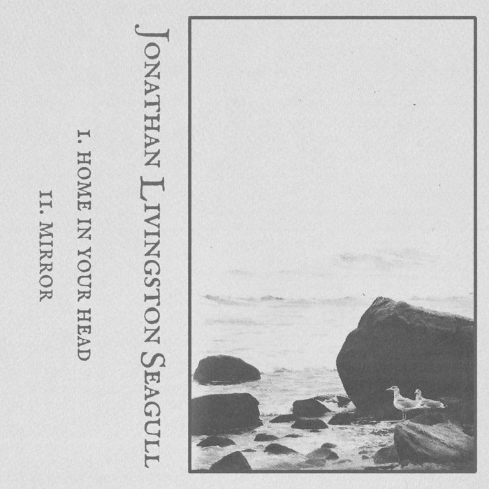 Single | Jonathan Livingston Seagull