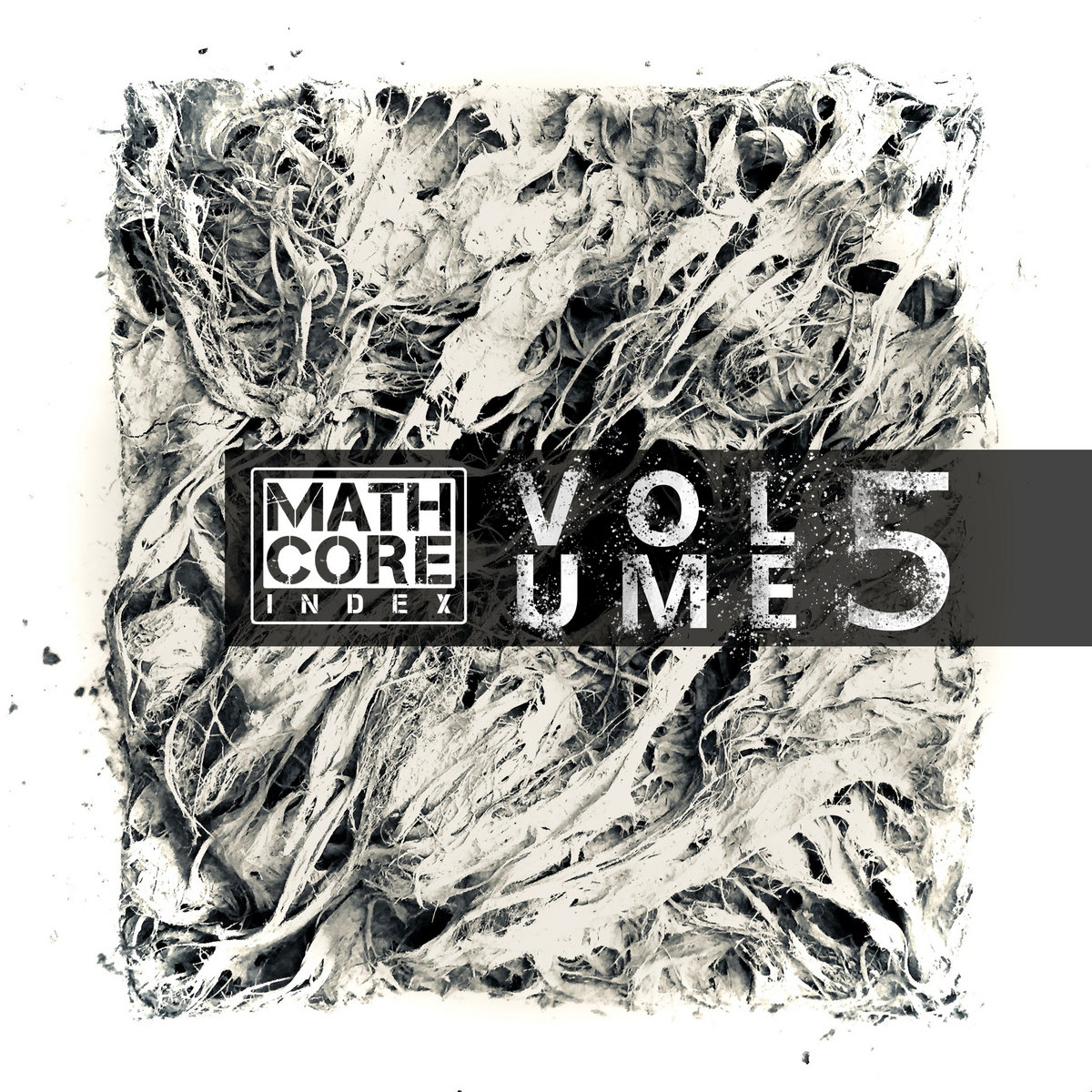 Volume 5 | Mathcore Index