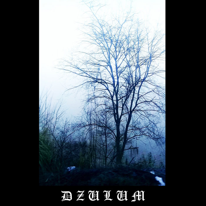 Dzulum - Cosmic Visions of Desolated Souls | SIF181 | Silentium in ...