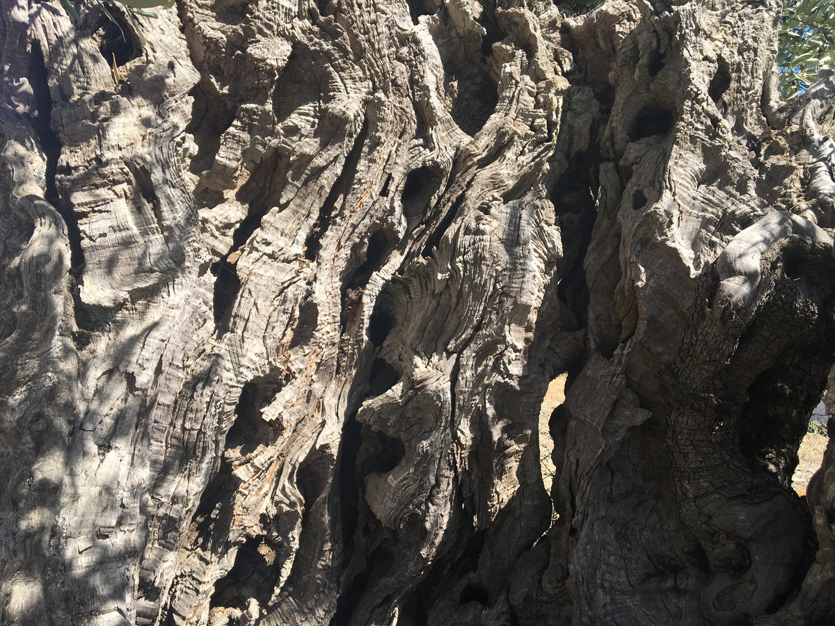 Something | Mathias Kettner