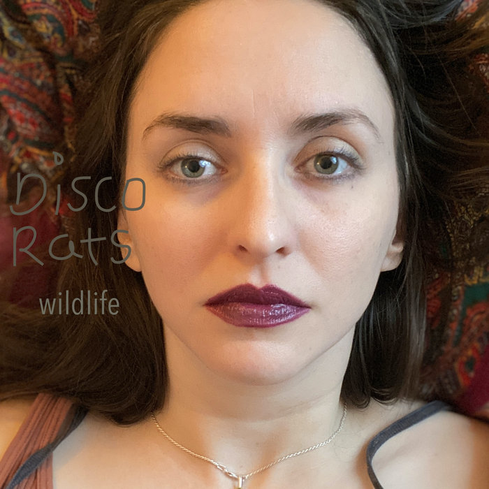 wildlife | Disco Rats