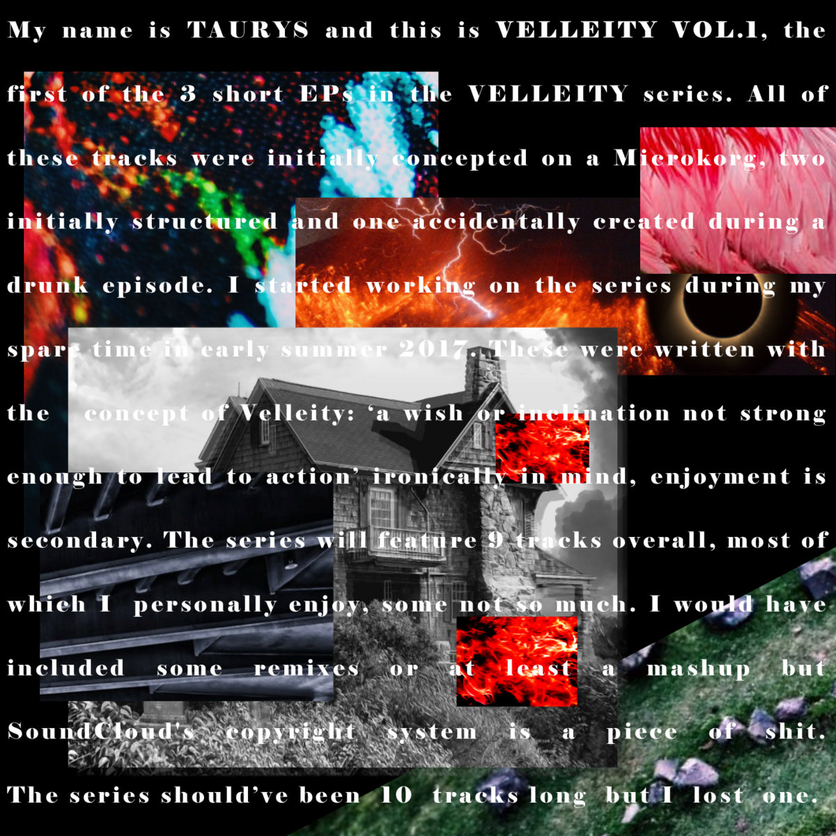 VELLEITY VOL.1 | Taurys