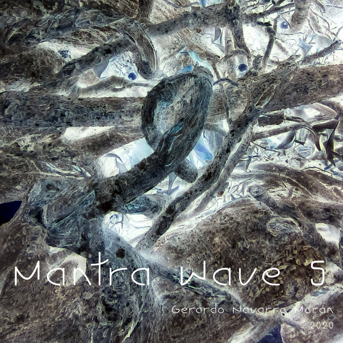 Mantra Wave V | Gerardo Navarro Morán