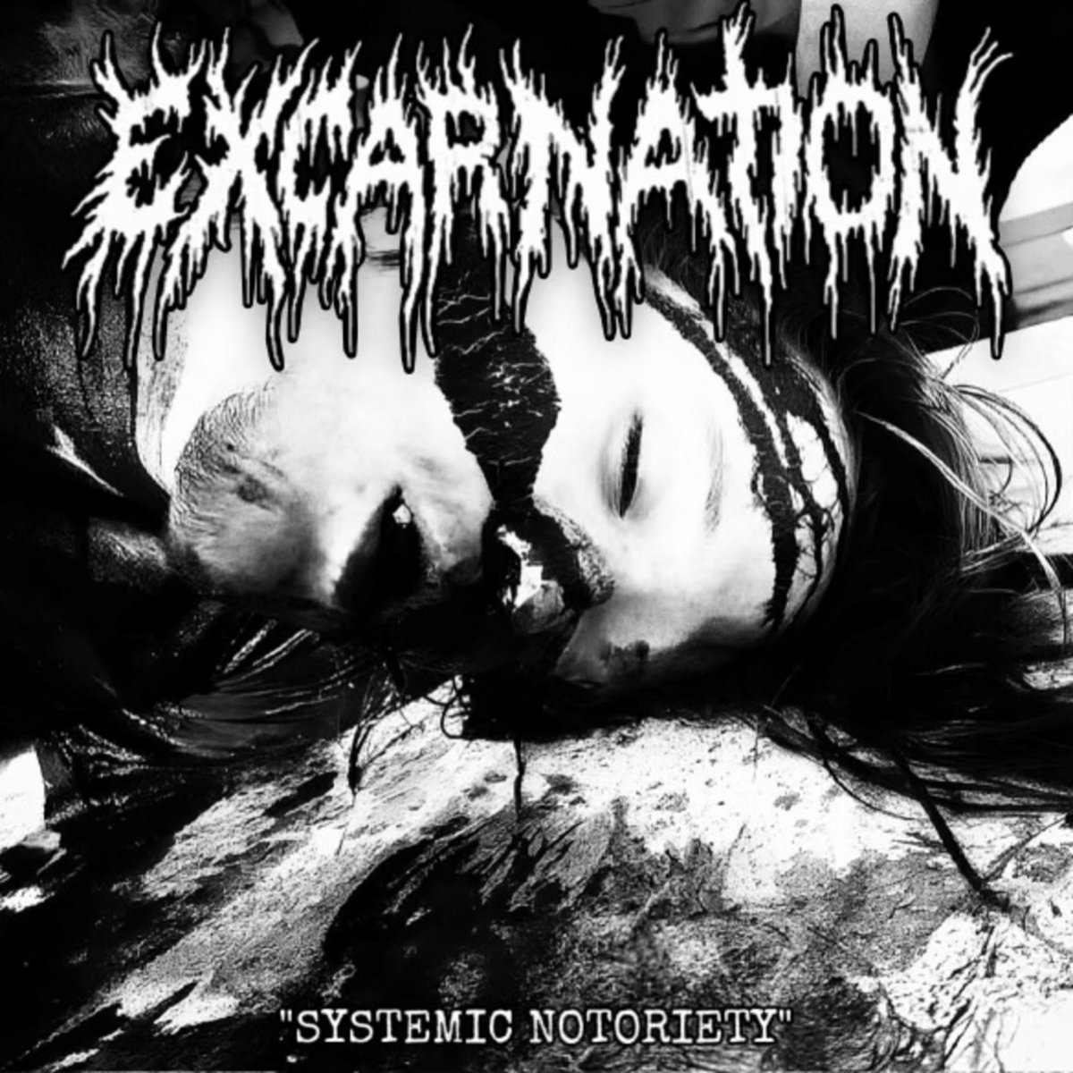 SYSTEMIC NOTORIETY | Excarnation