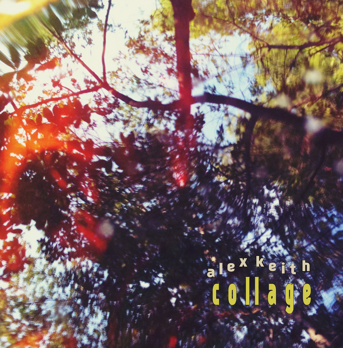 Collage | Alex Keith