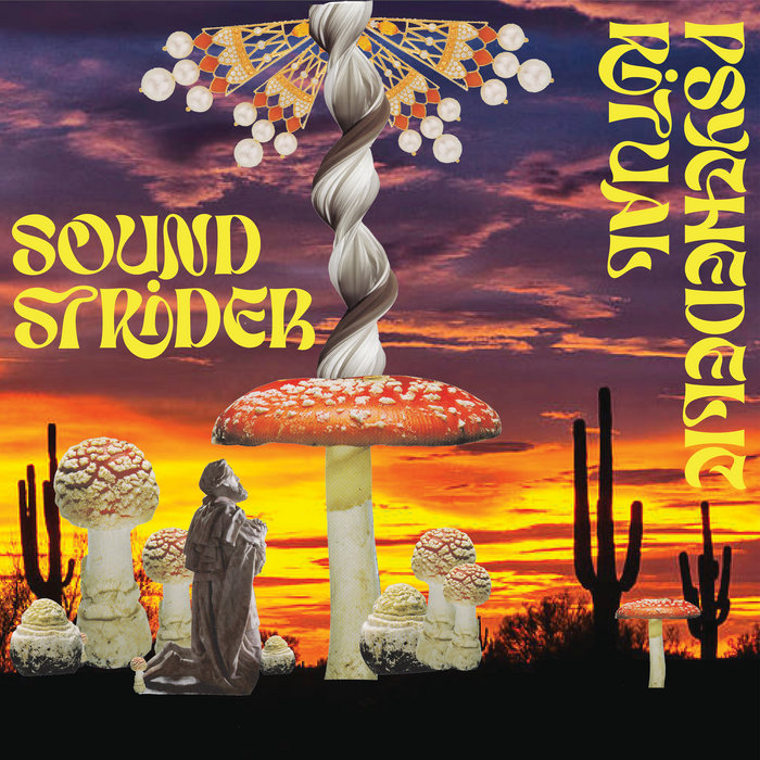 Psychedelic Ritual | Sound Strider