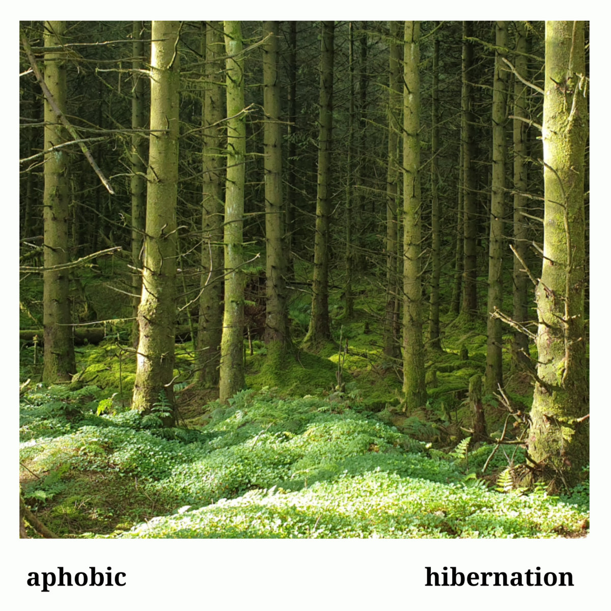 Hibernation EP | Aphobic