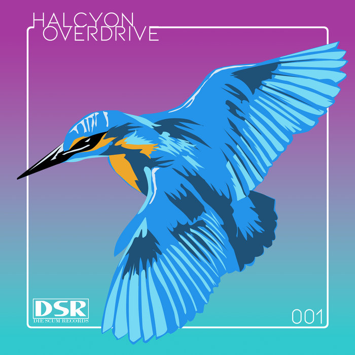 001 | Halcyon Overdrive