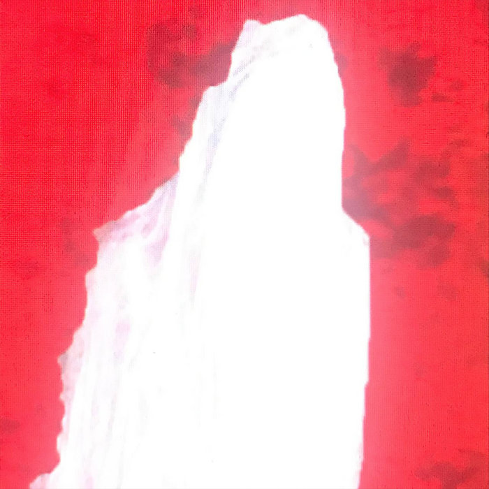 E X E C U T E Draag Nypra