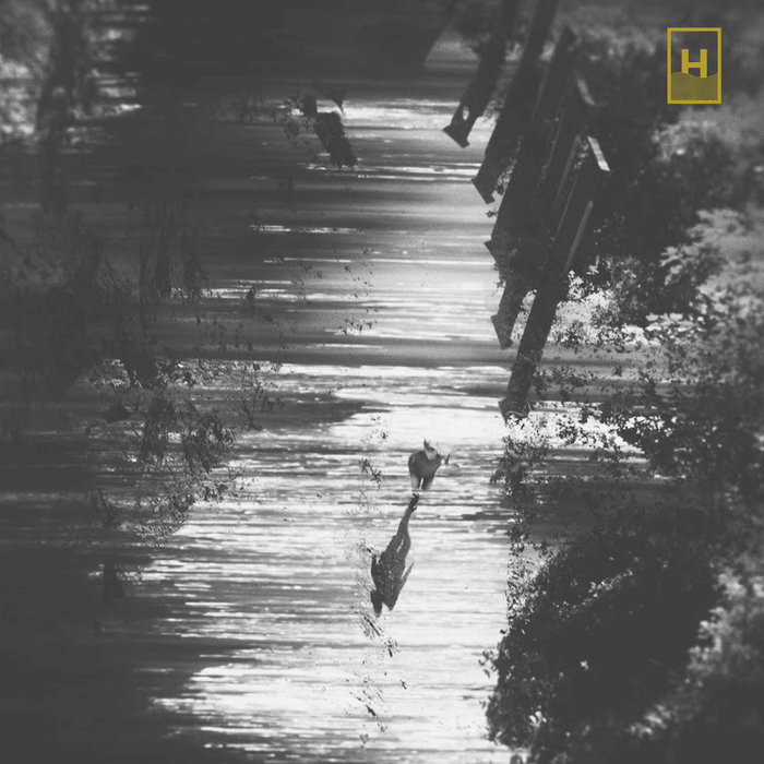 The History of Cardenio | Daniel Cano Trio | Daniel Cano