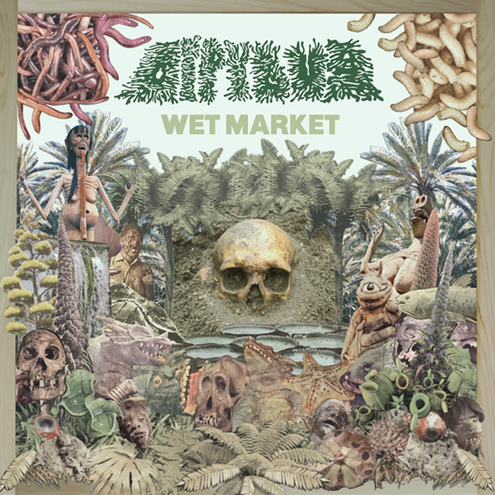 Wet Market EP | DIPYGUS | ICEBREAKER RECORDS