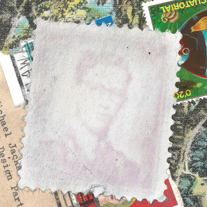 Baseball Girl | Hali Palombo