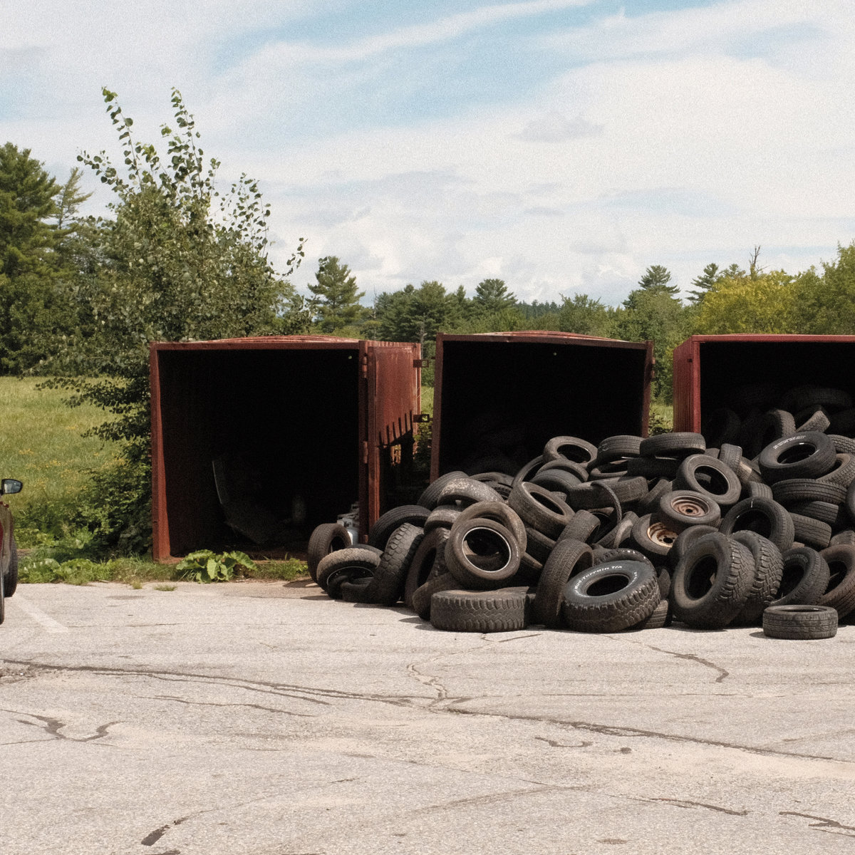 The Fall Collection | Hemlock Ernst & Height Keech | Alpha Pup