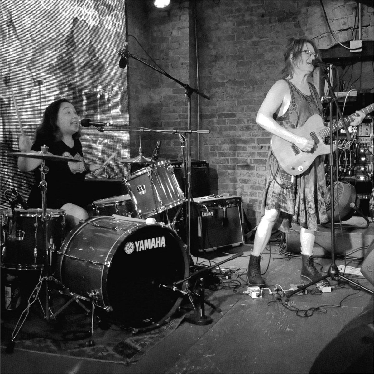 live raccoons inside | Trash Panda Go Kart