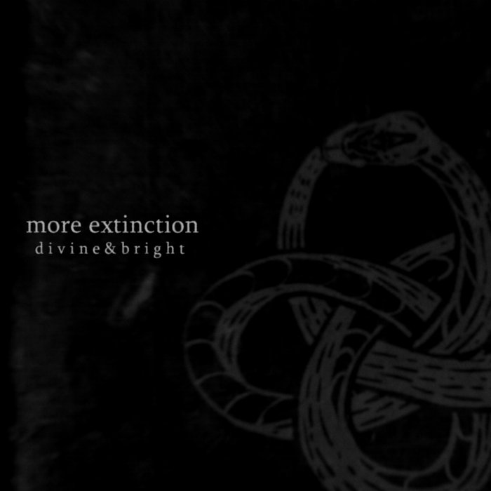 Divine and Bright | More Extinction
