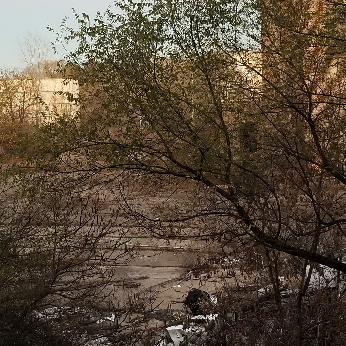 Batman | Church Of Cerna | Levi Jacob Bailey