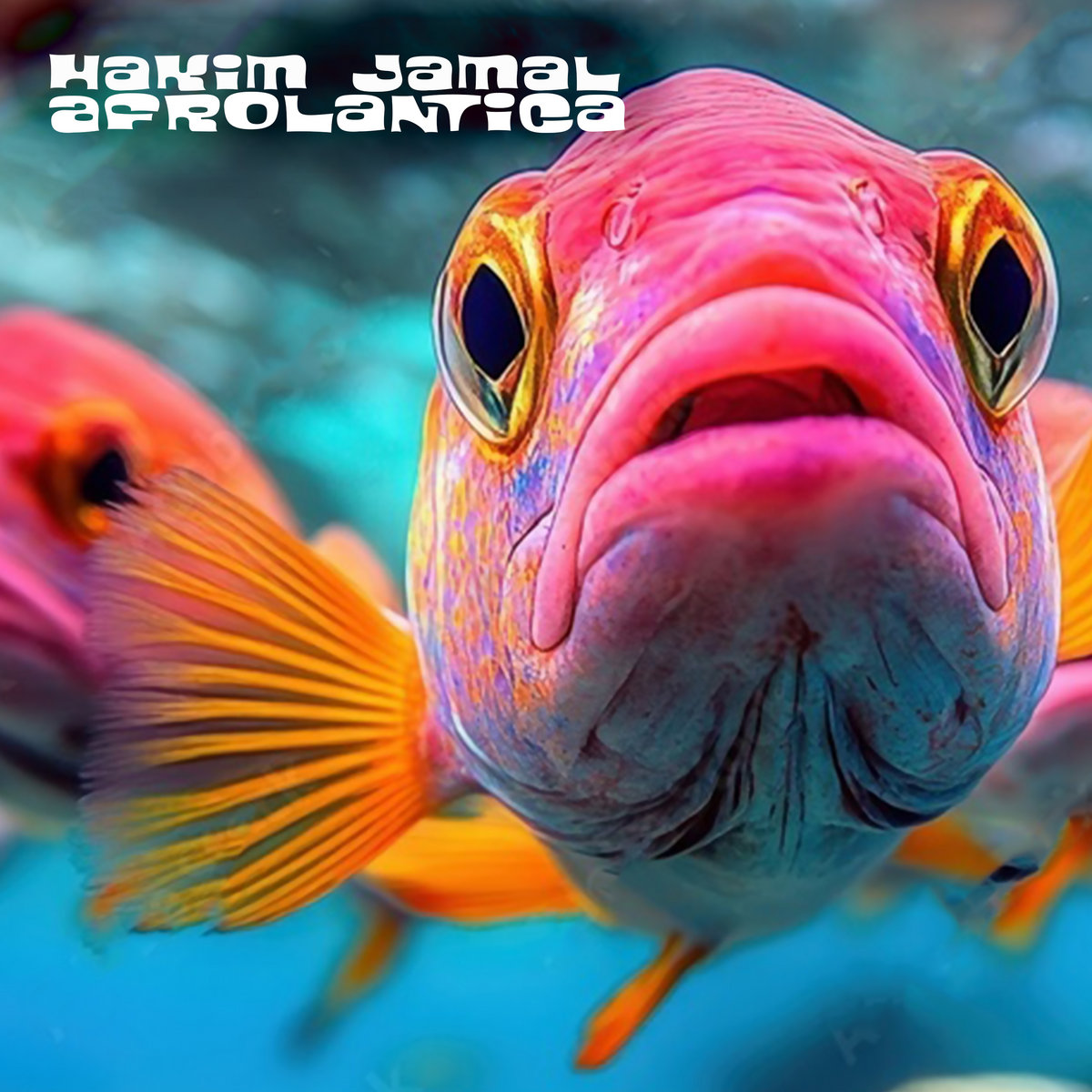 Afrolantica | Hakim Jamal