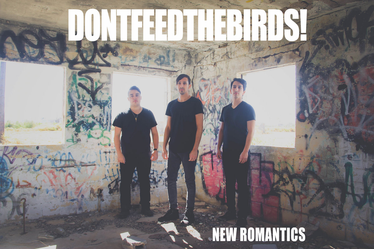 New Romantics (Taylor Swift Cover) | DONTFEEDTHEBIRDS!