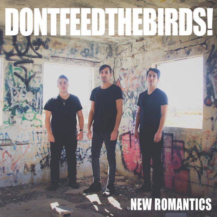 New Romantics (Taylor Swift Cover) | DONTFEEDTHEBIRDS!