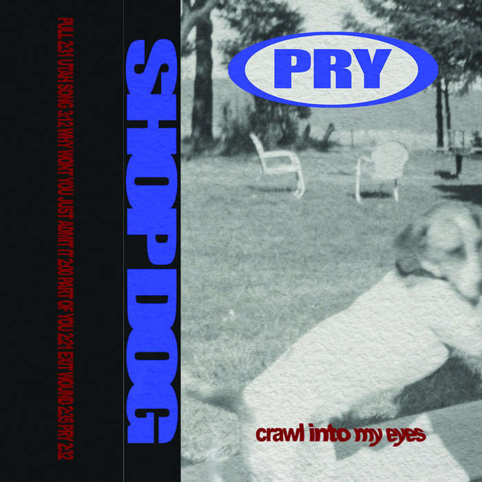 SHOP DOG - PRY | SHOP DOG | Transylvanian Recordings