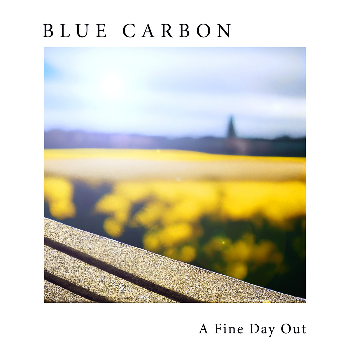 A Fine Day Out | Blue Carbon