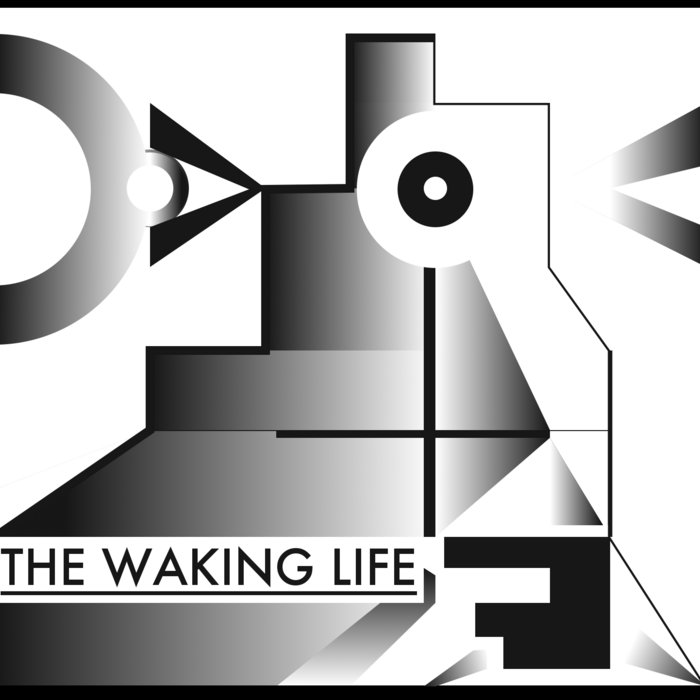 THE WAKING LIFE: WANDERING THE ABSTRACT STREETS [no audio] | CFR Council