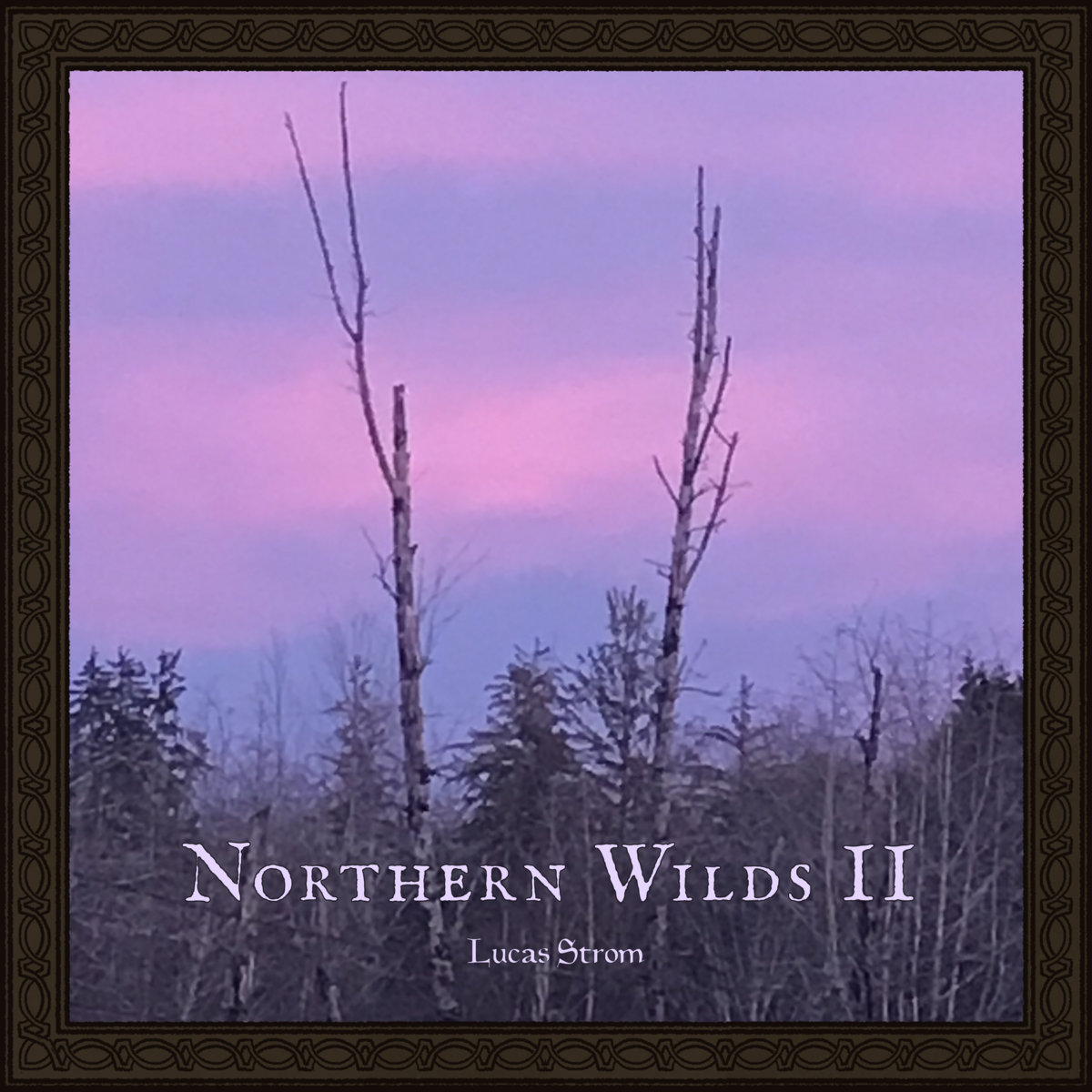 Northern Wilds II | Lucas Strom