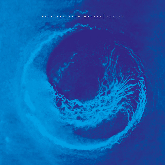 Morula | Pictures From Nadira