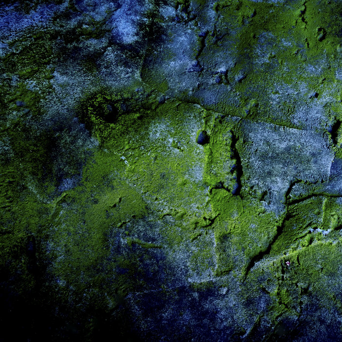 Silent Articulations | David Cordero & Carlos Ferreira | Aural Canyon