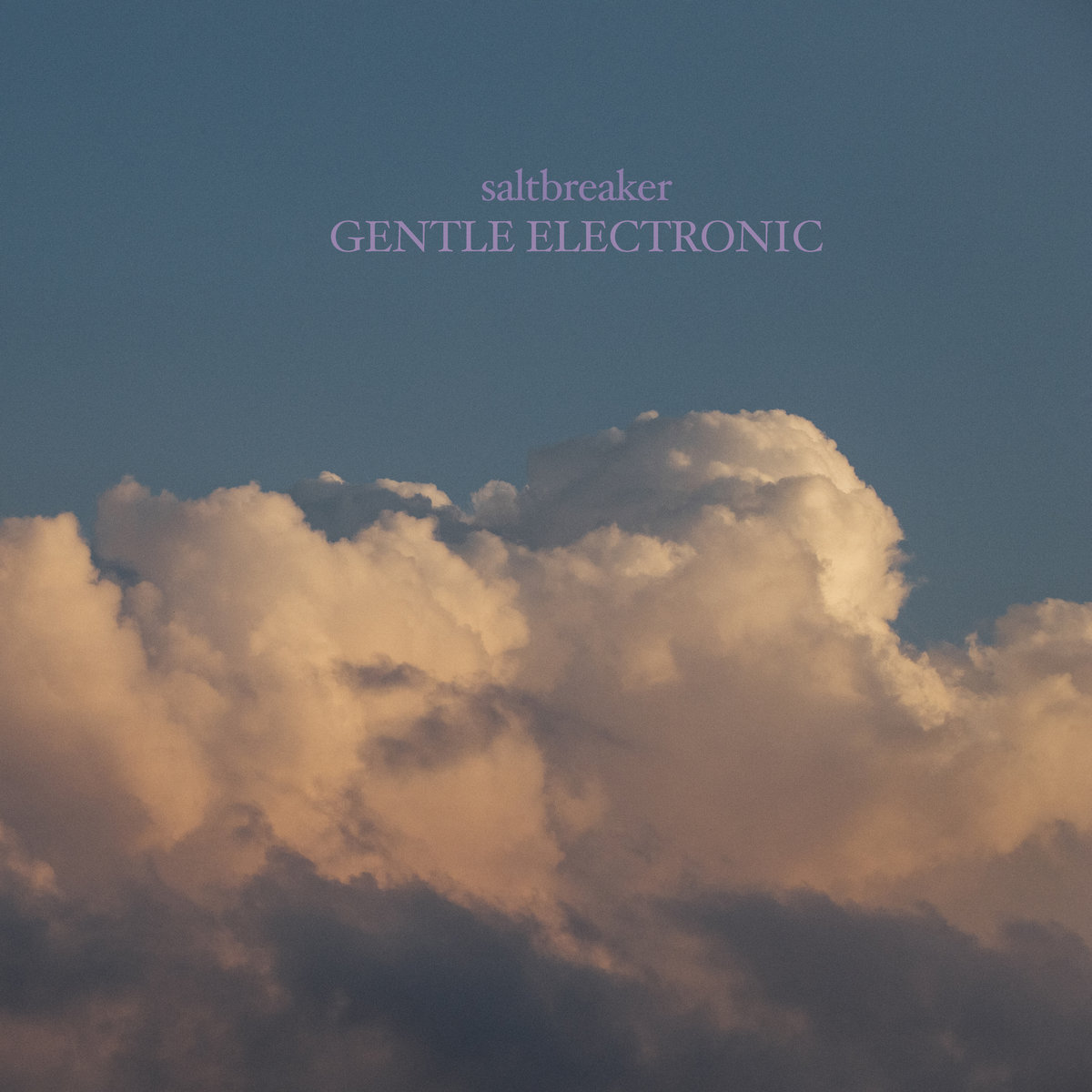 Gentle Electronic | Saltbreaker