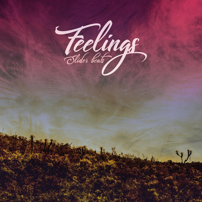 feelings | slider beats