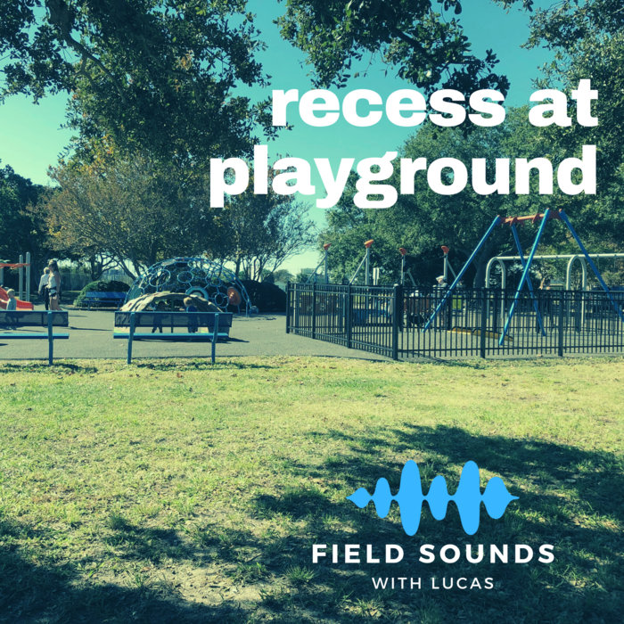 Recess at Playground Library | Field Sounds With Lucas