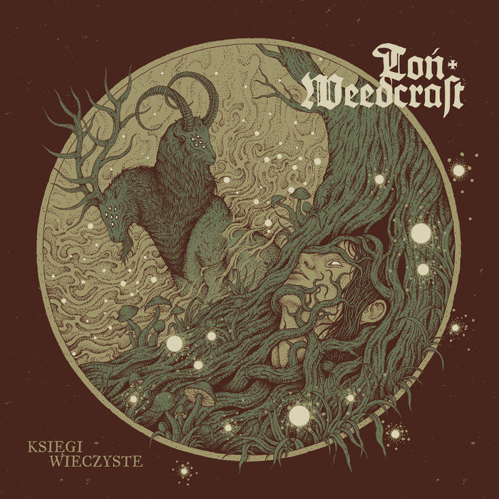 Księgi Wieczyste | TOŃ & Weedcraft | TOŃ