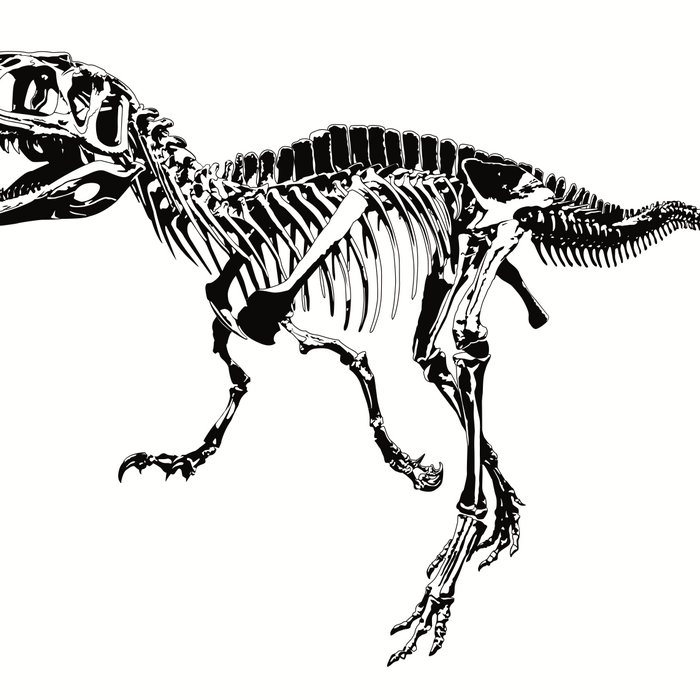 Just Friends | Ten Bones