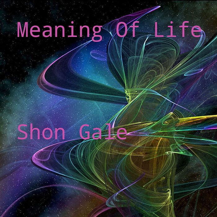 Meaning Of Life | Shon Gale