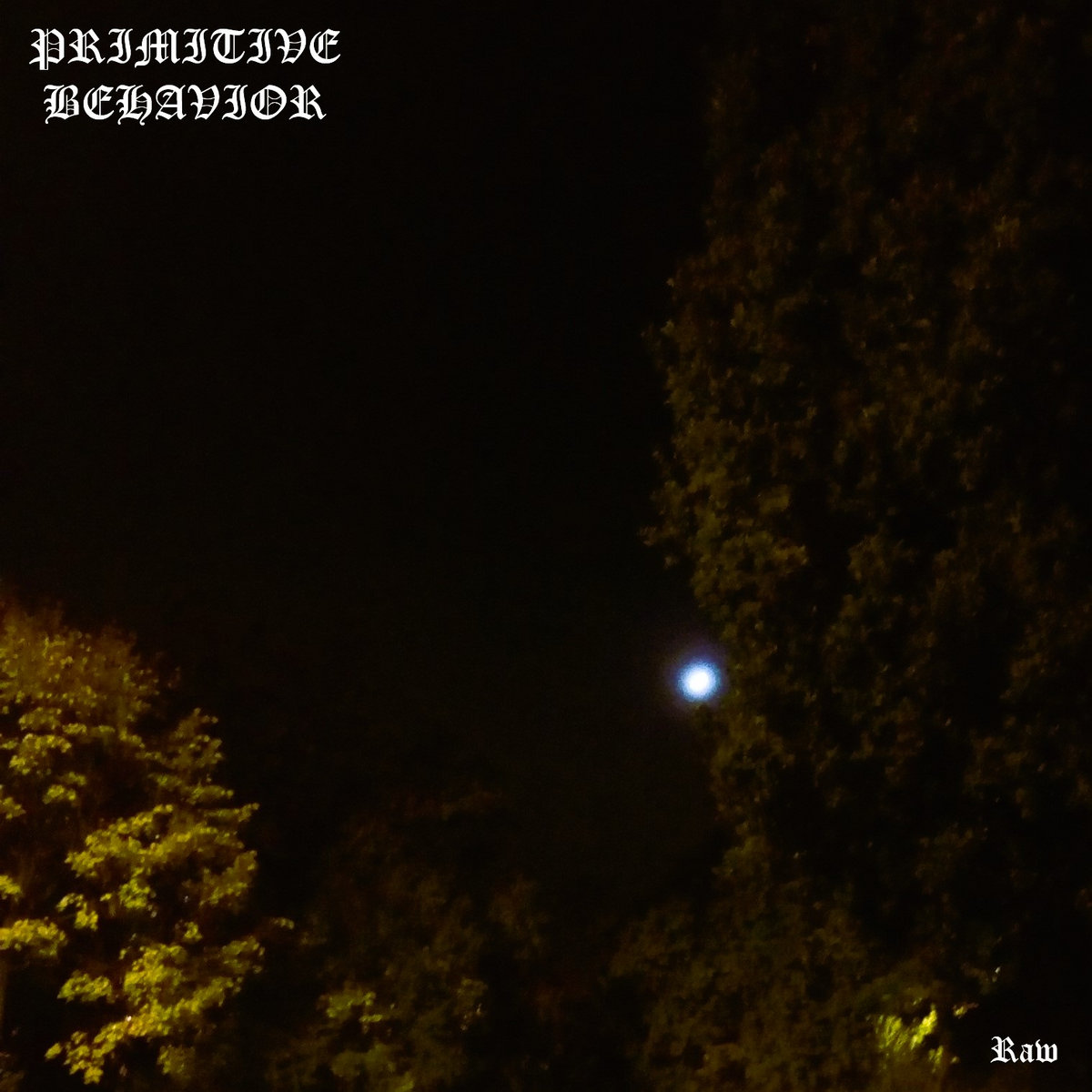 Raw | Primitive Behavior