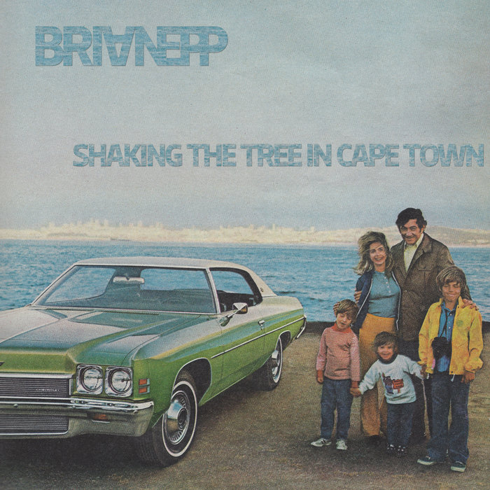 Shaking The Tree in Cape Town | Brian Epp